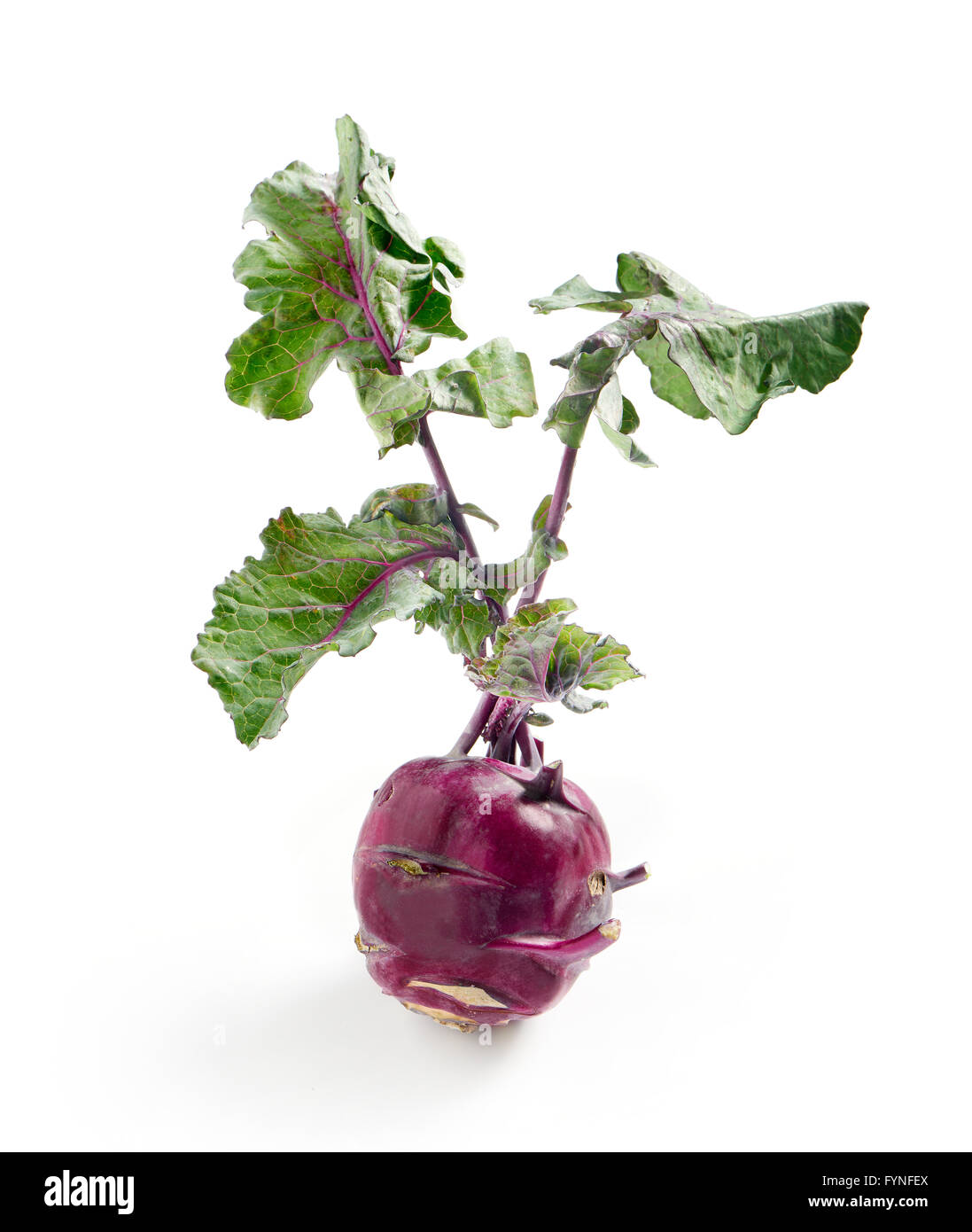 Whole fresh red kohlrabi with its leaves on a white background with ...