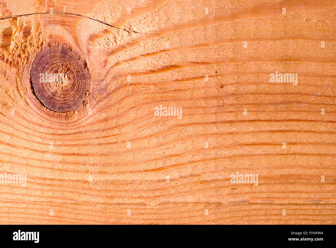 Japanese hardwood forest hi-res stock photography and images - Alamy