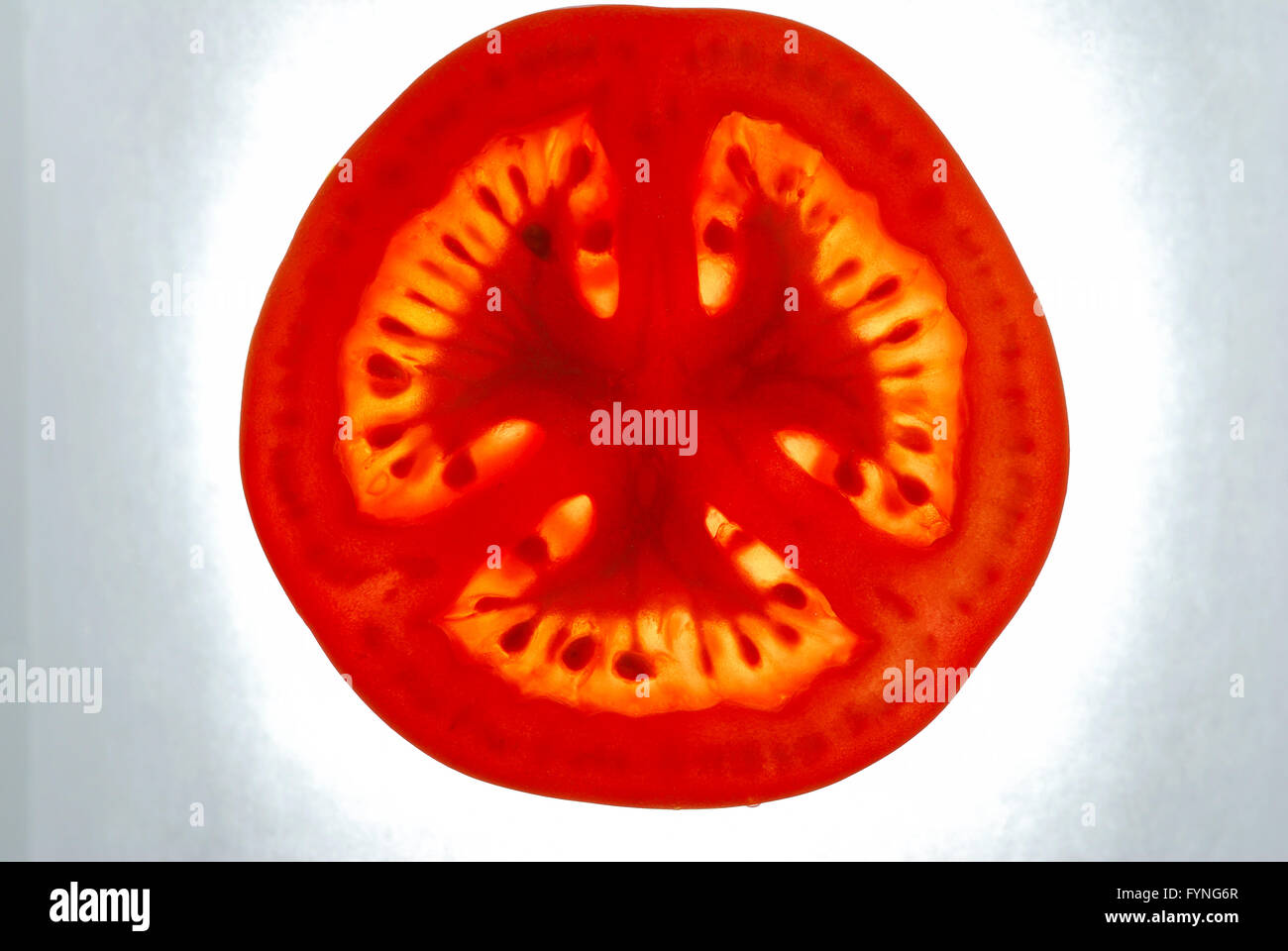 illuminated tomato slice on gray paper background Stock Photo - Alamy