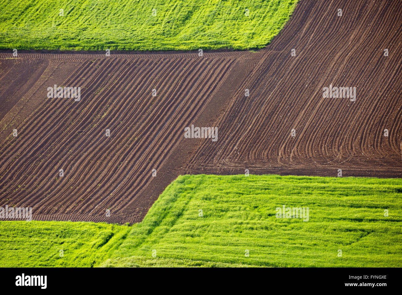 Agricultural landscape layers field and meadow view from above Stock ...