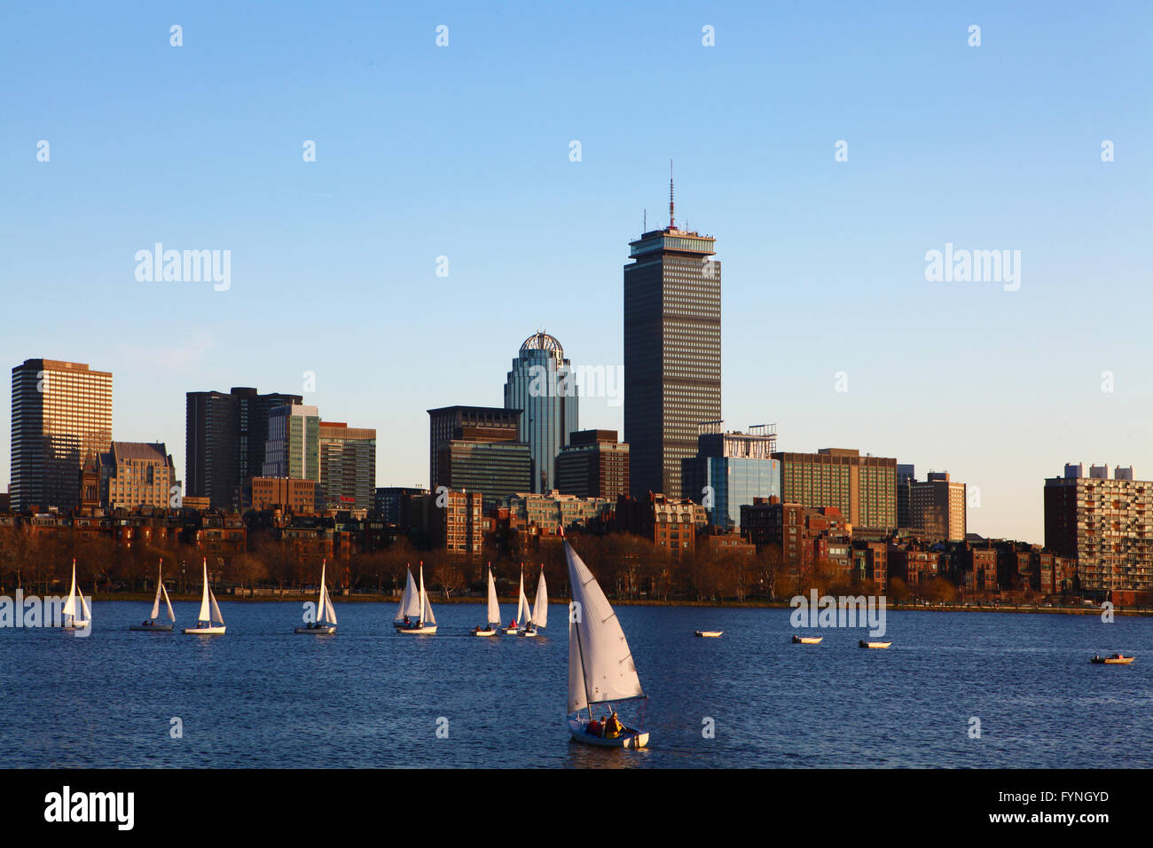 Skyline at the back with sky tower hi-res stock photography and images ...