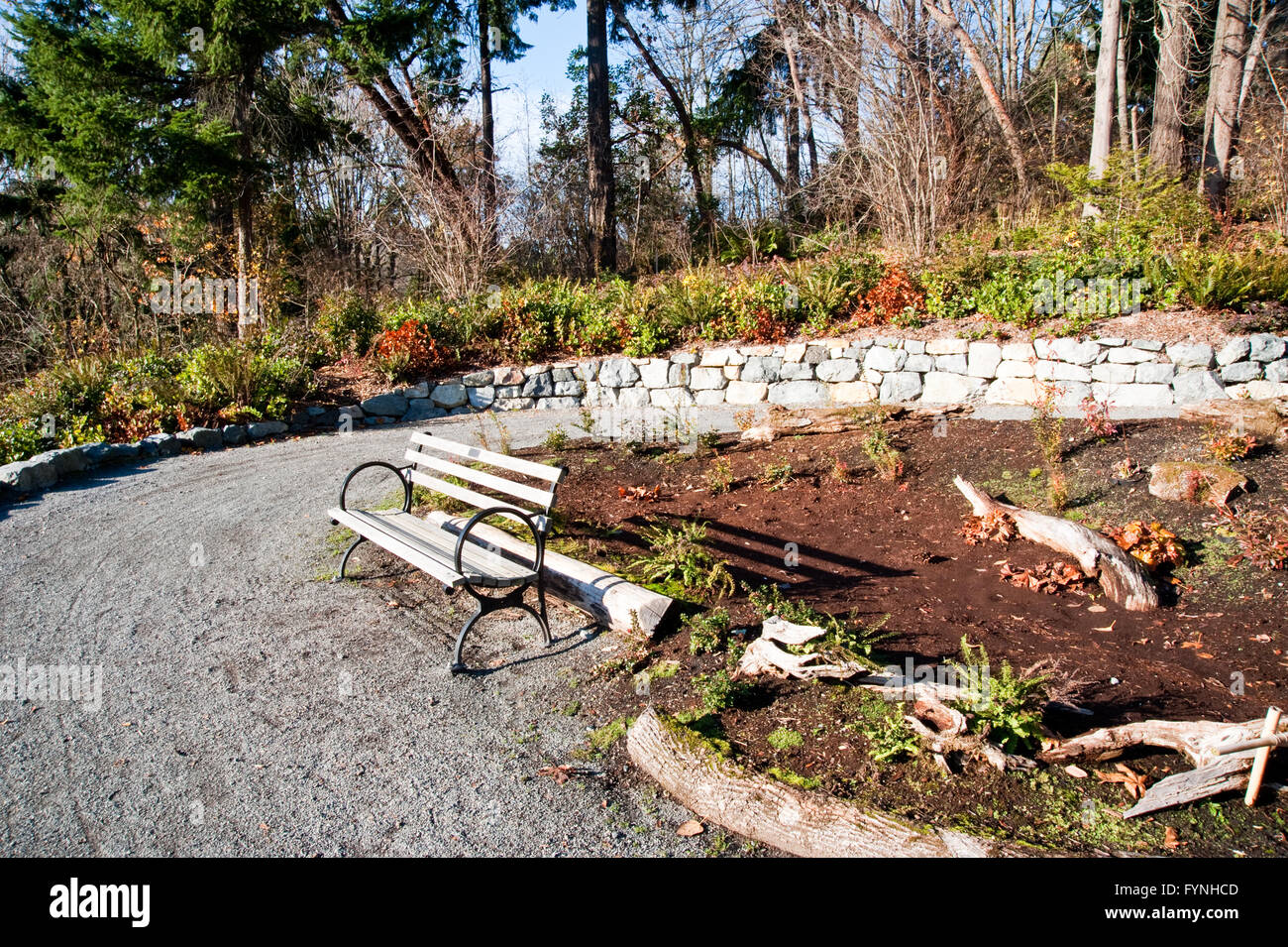 Bench in the Washington Park Arboretum Stock Photo - Alamy