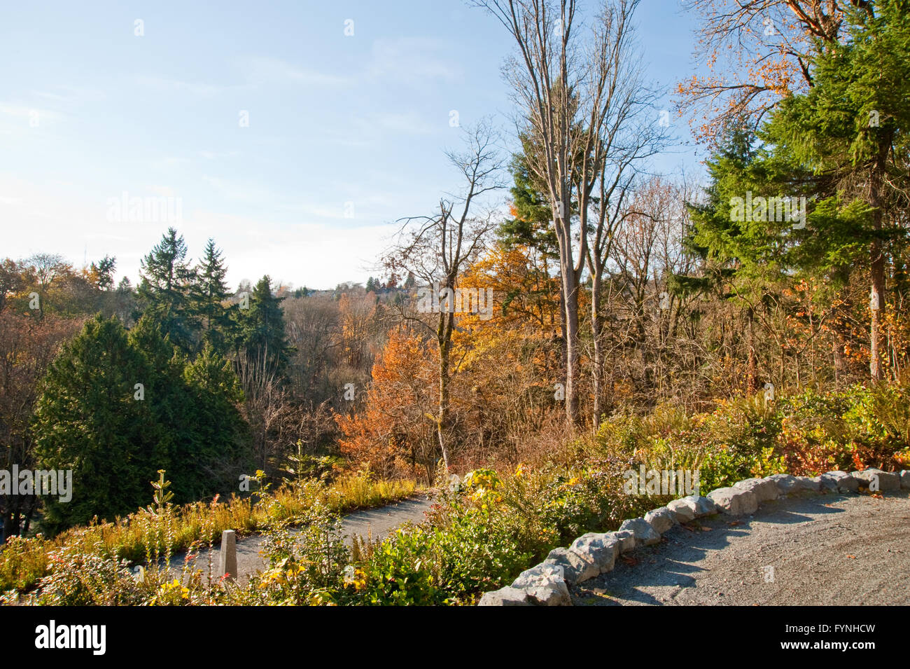 Washington Park Arboretum in Seattle Stock Photo - Alamy