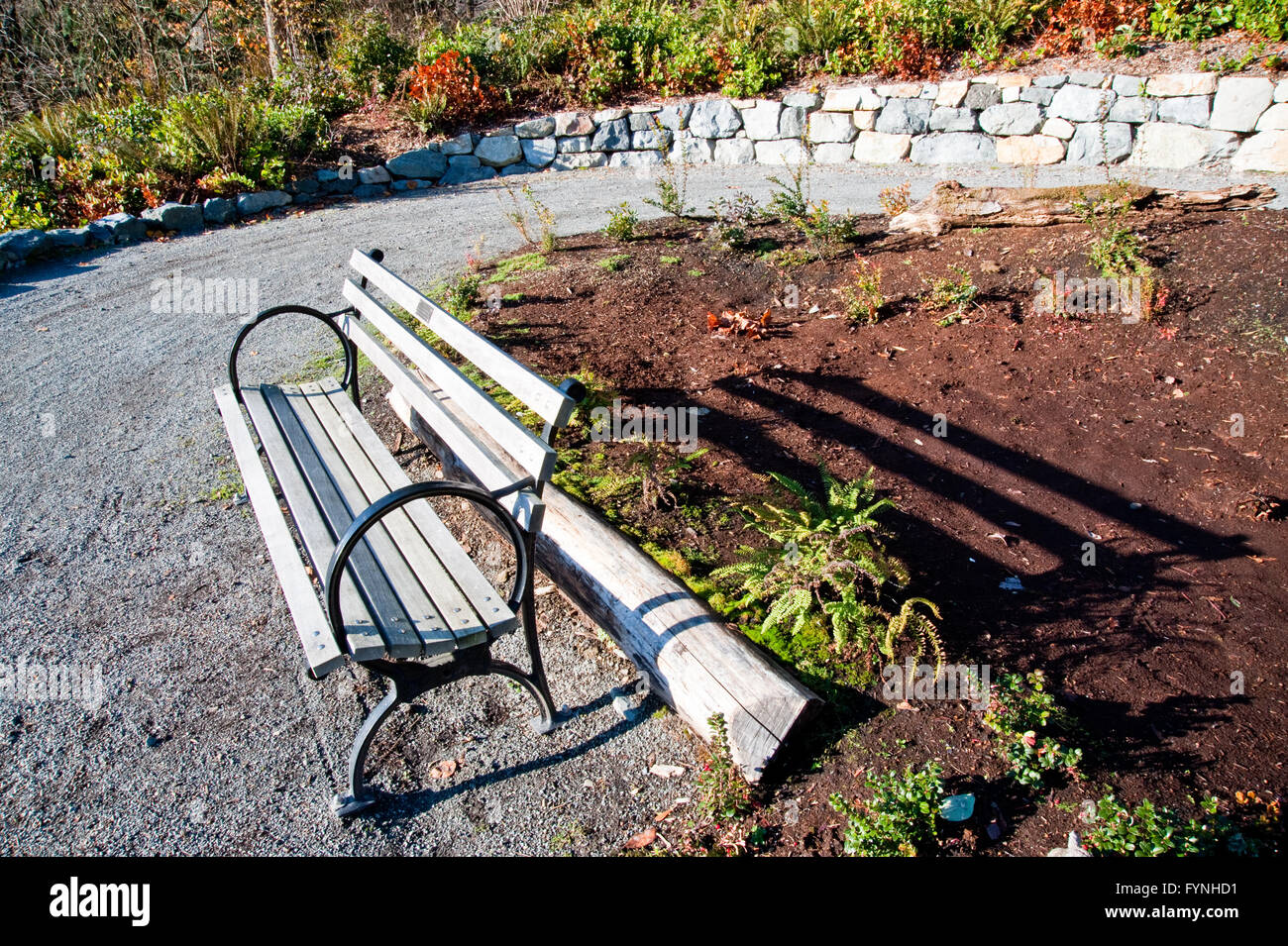 Bench in the Washington Park Arboretum Stock Photo - Alamy