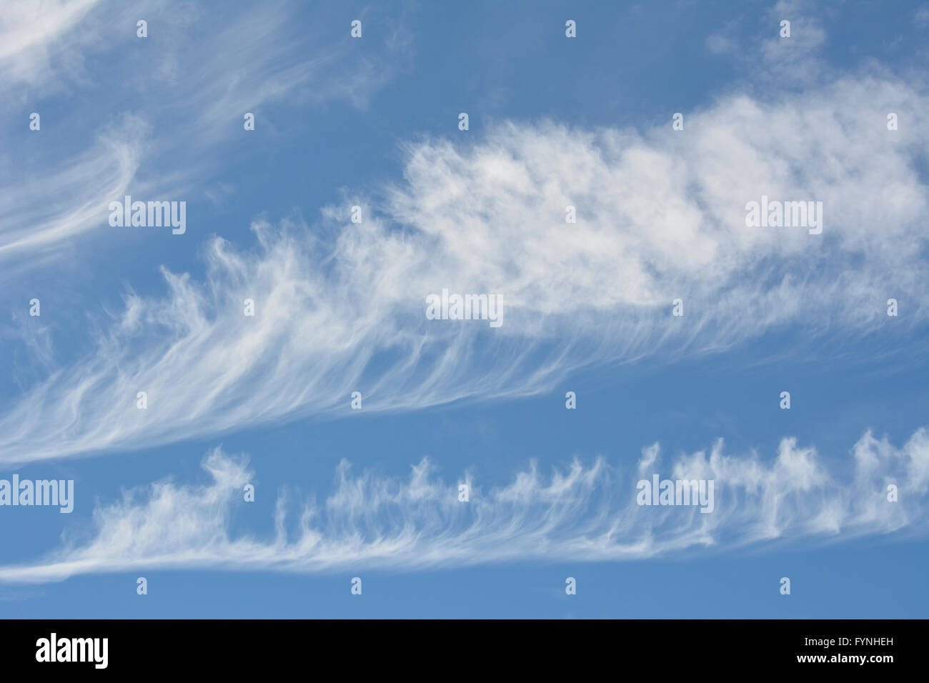 Cirrus clouds in a windy sky Stock Photo - Alamy