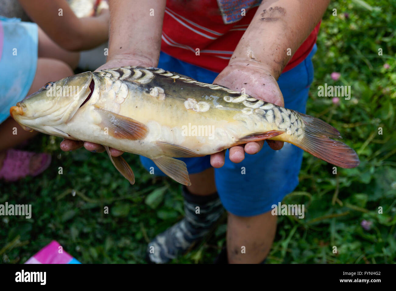 The photo depicts a boy holding a carp Stock Photo - Alamy