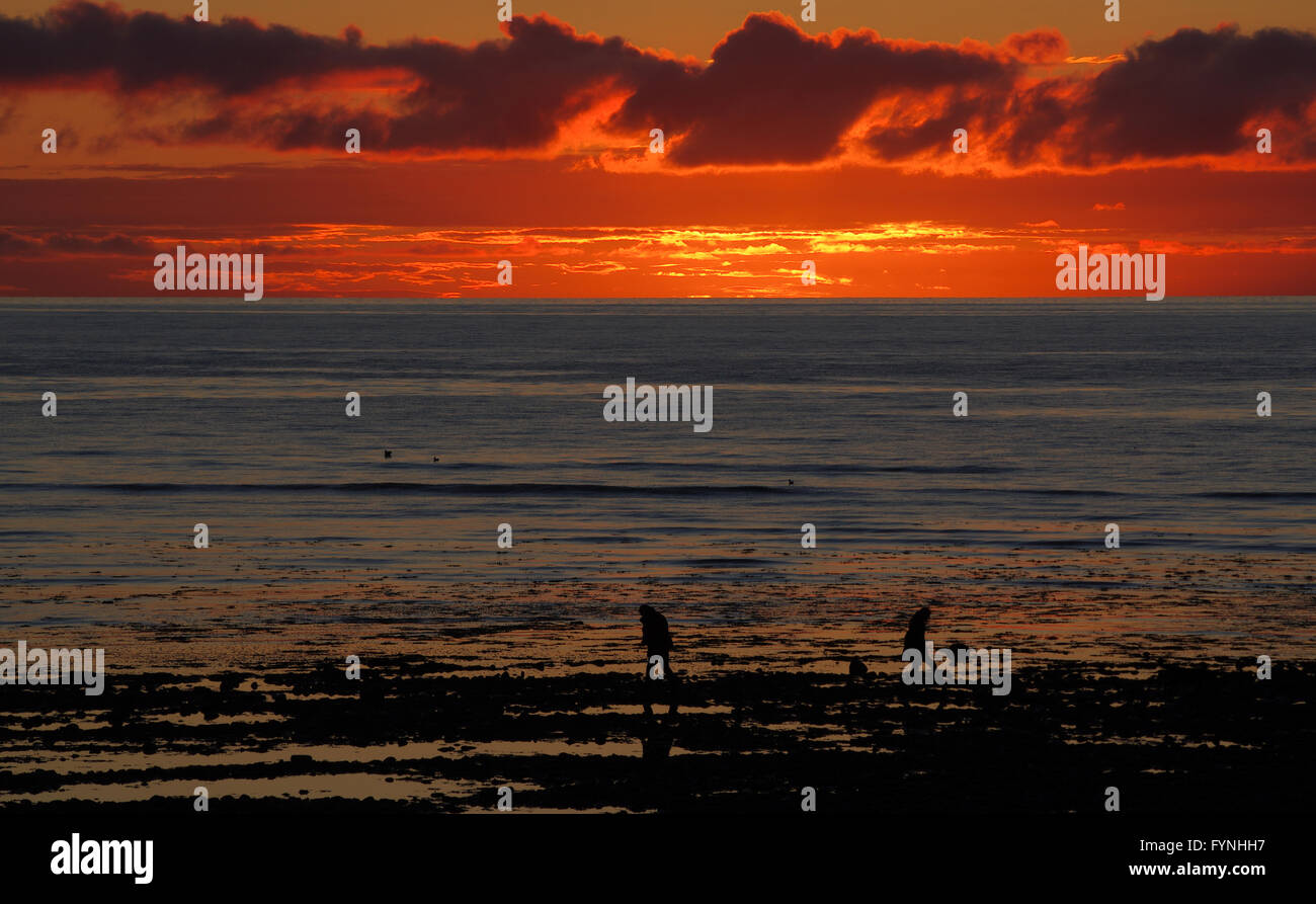 Beachcombers hi-res stock photography and images - Alamy