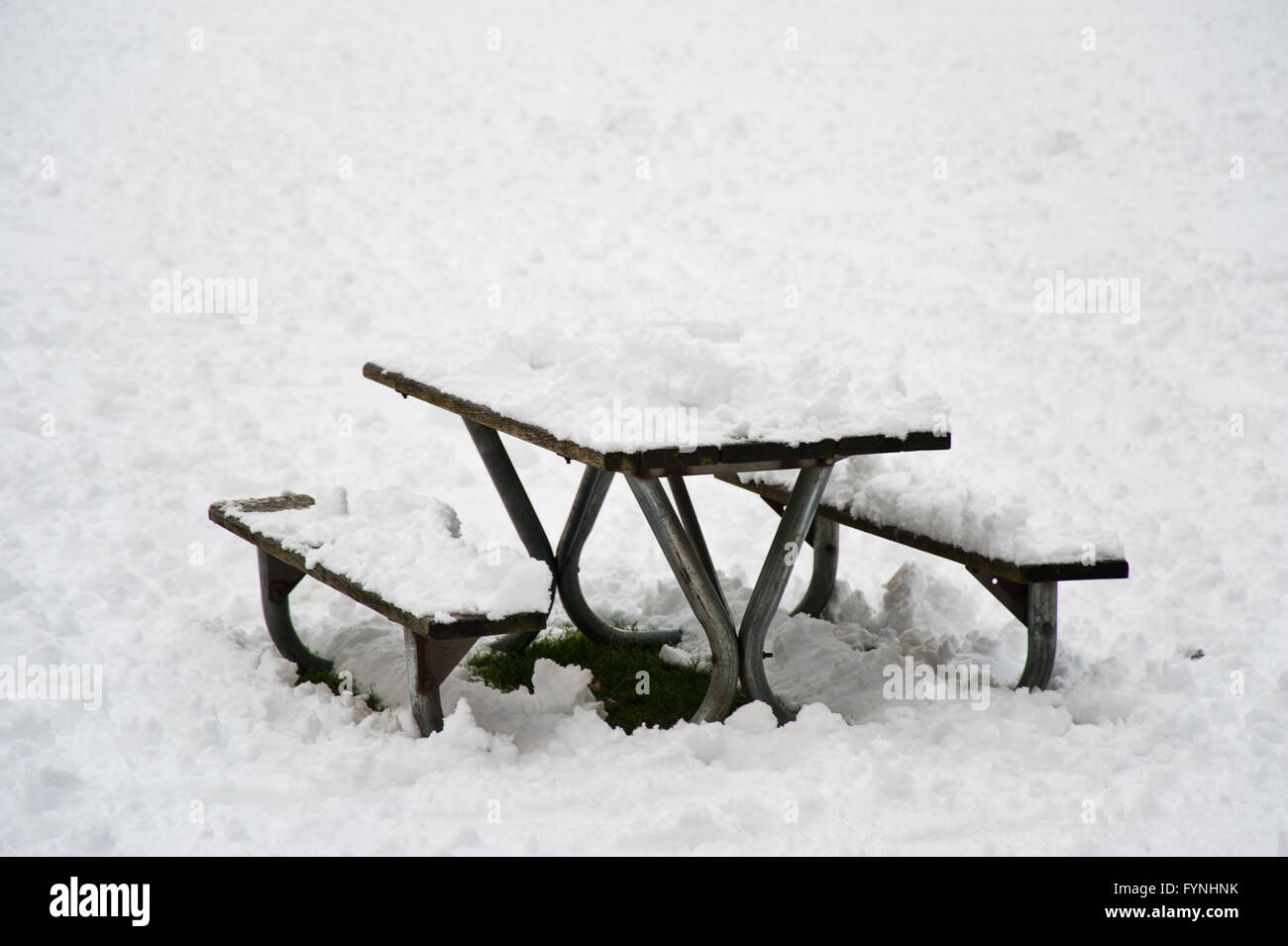 Snow covered picnic table Stock Photo - Alamy