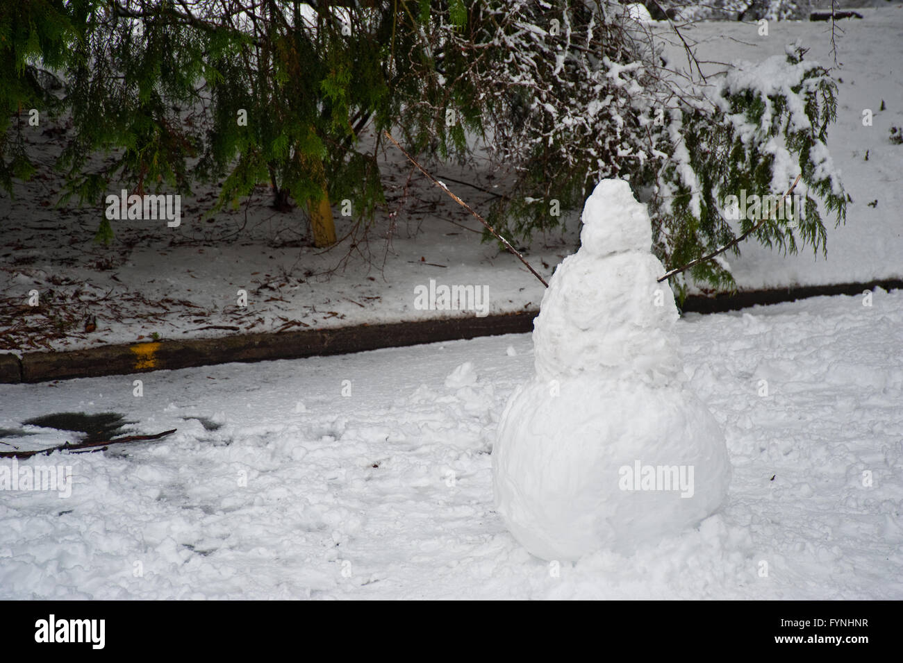 Snowman in Seattle park Stock Photo - Alamy