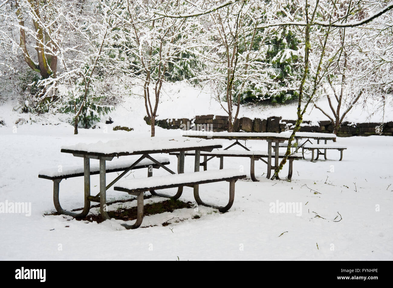 Frost covered picnic table hi-res stock photography and images - Alamy