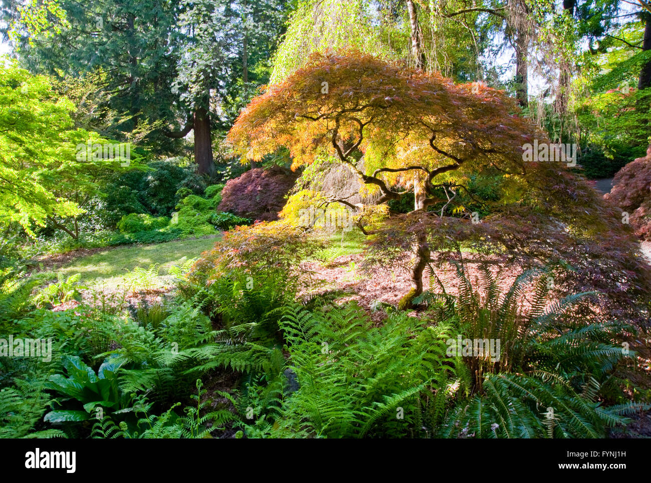 Seattle park hi-res stock photography and images - Alamy