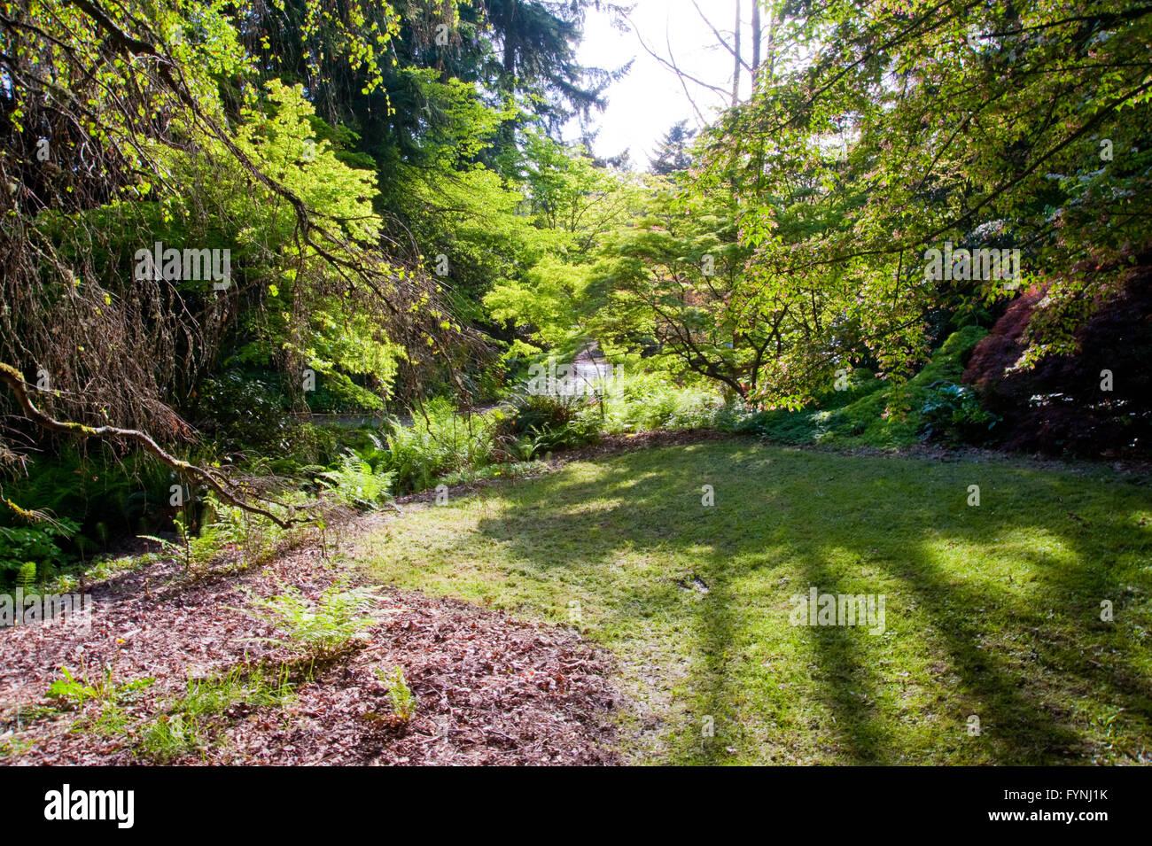 Seattle Park during spring Stock Photo - Alamy
