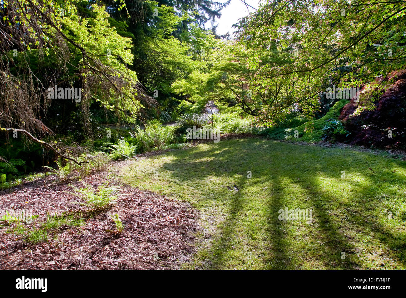 Seattle Park during spring Stock Photo - Alamy