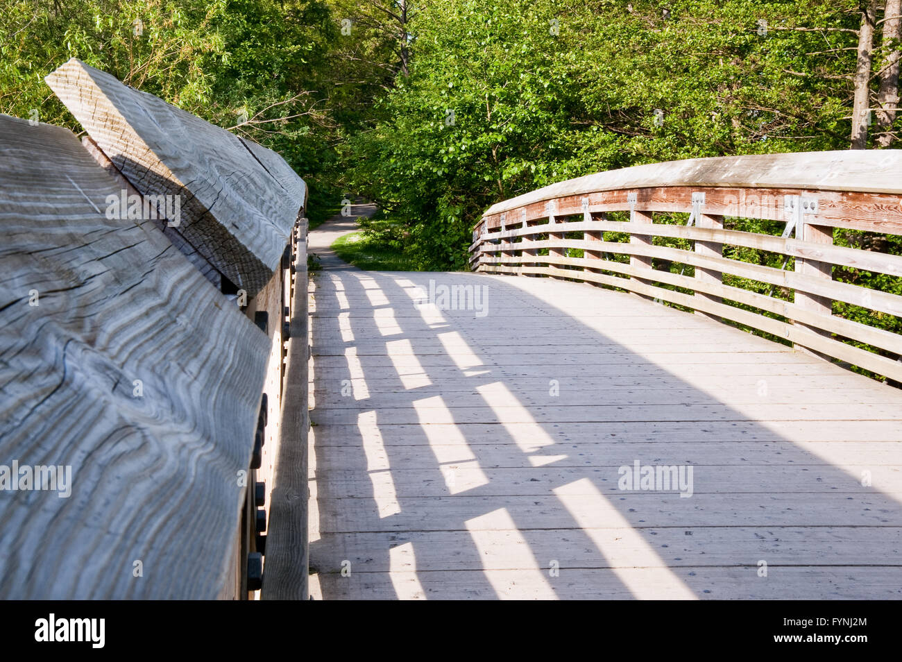 Wood bridge in Washington Park Arboretum Stock Photo - Alamy