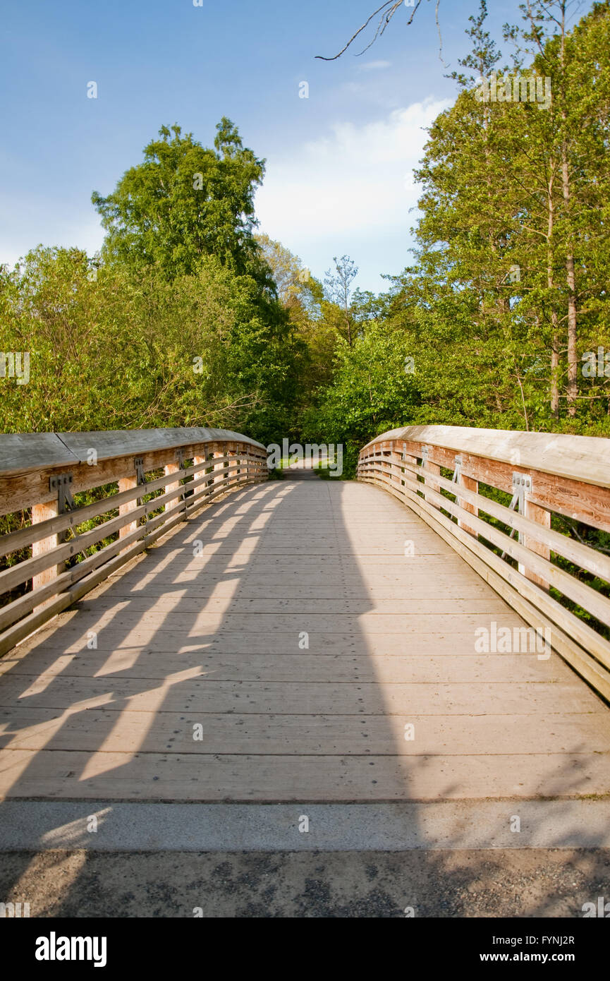 Wood bridge in Washington Park Arboretum Stock Photo - Alamy