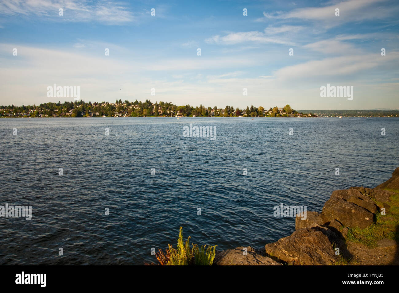 View of Union Bay, Seattle Stock Photo - Alamy