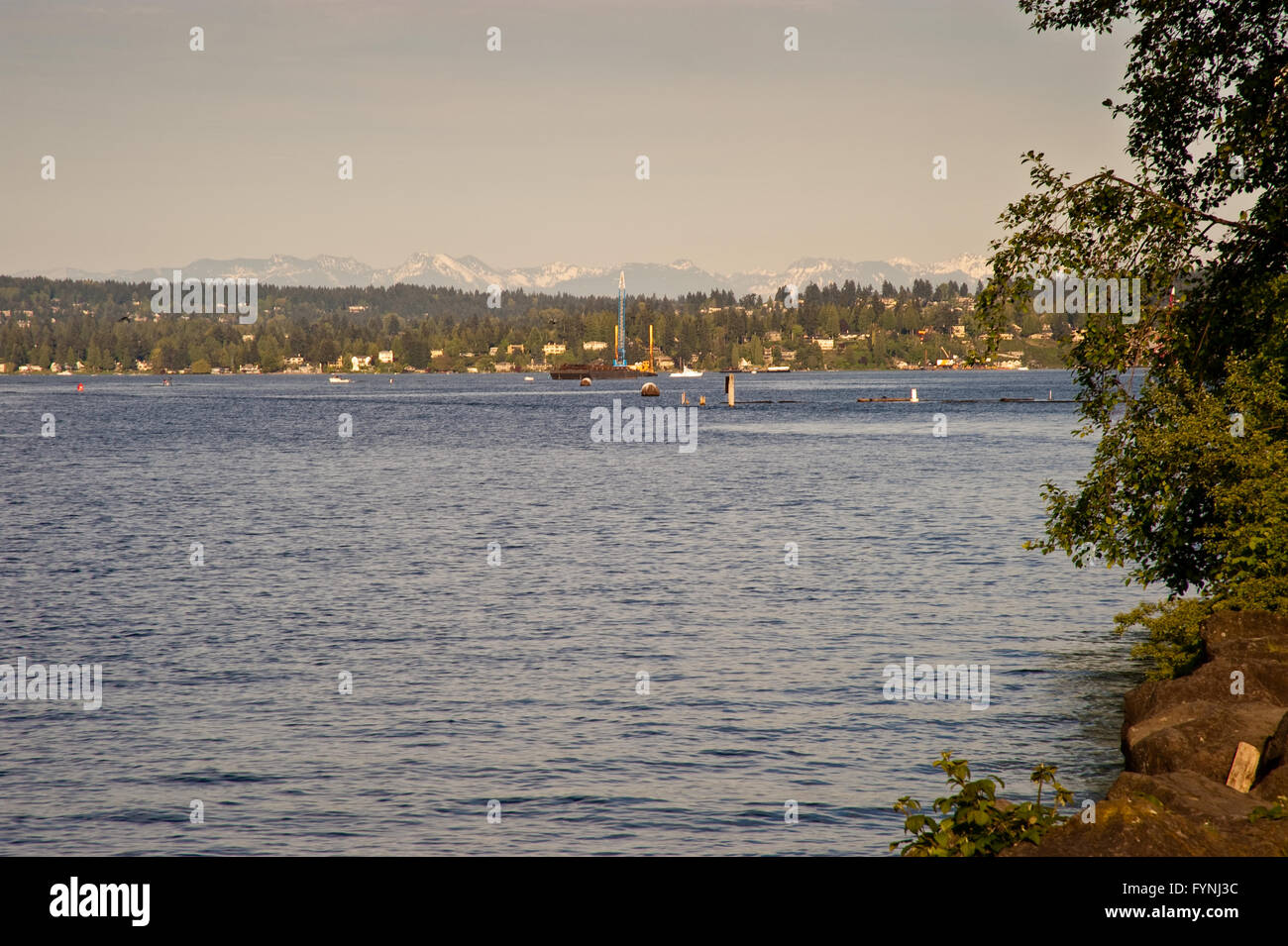 View of Union Bay, Seattle Stock Photo - Alamy