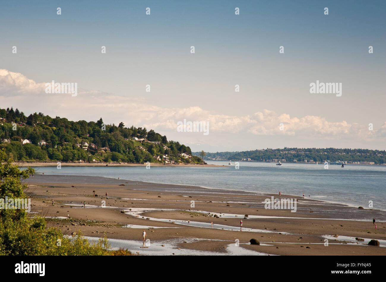 Seattle discovery park hi-res stock photography and images - Alamy