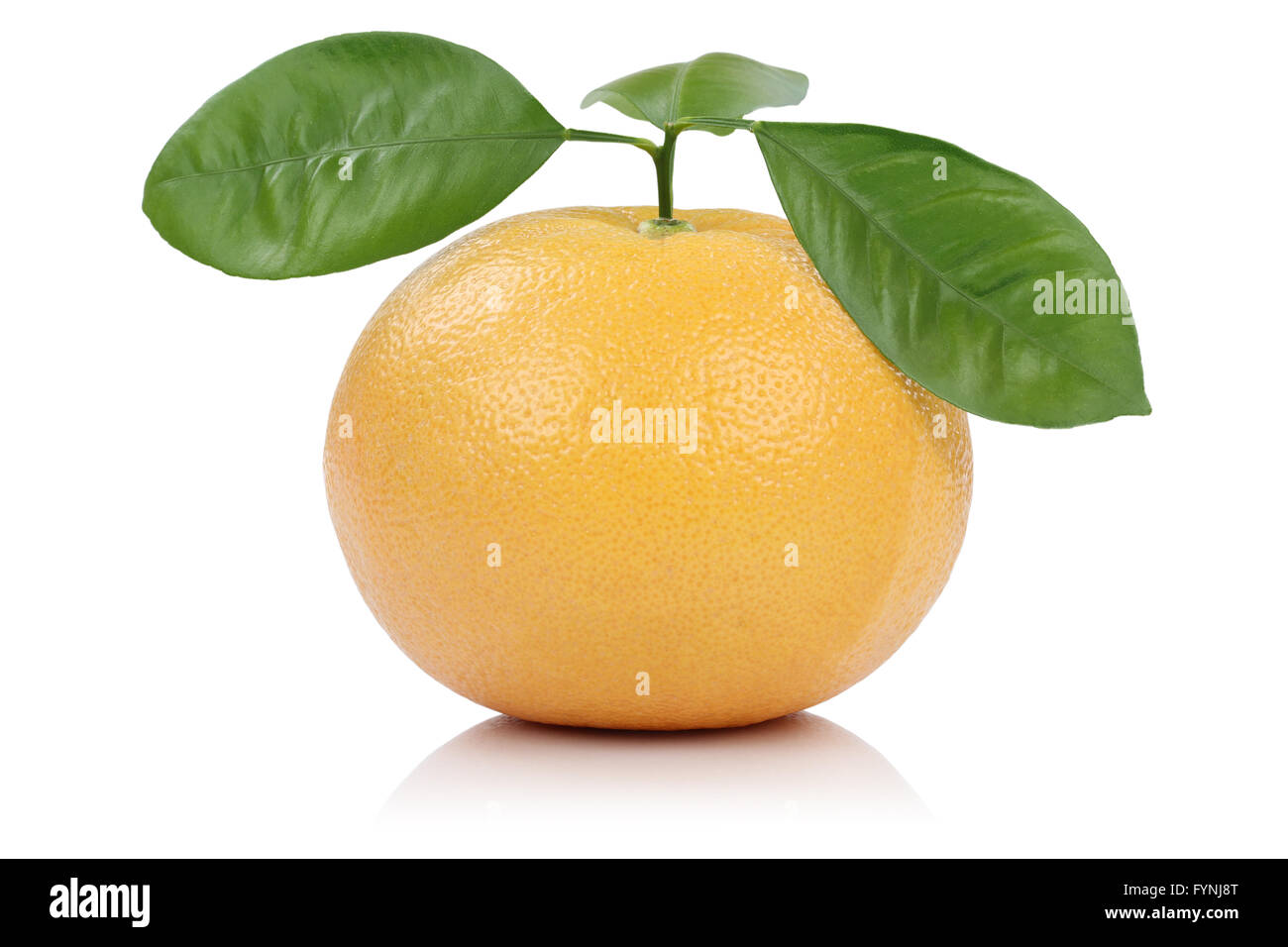 Grapefruit fruit with leaves isolated on white background Stock Photo ...