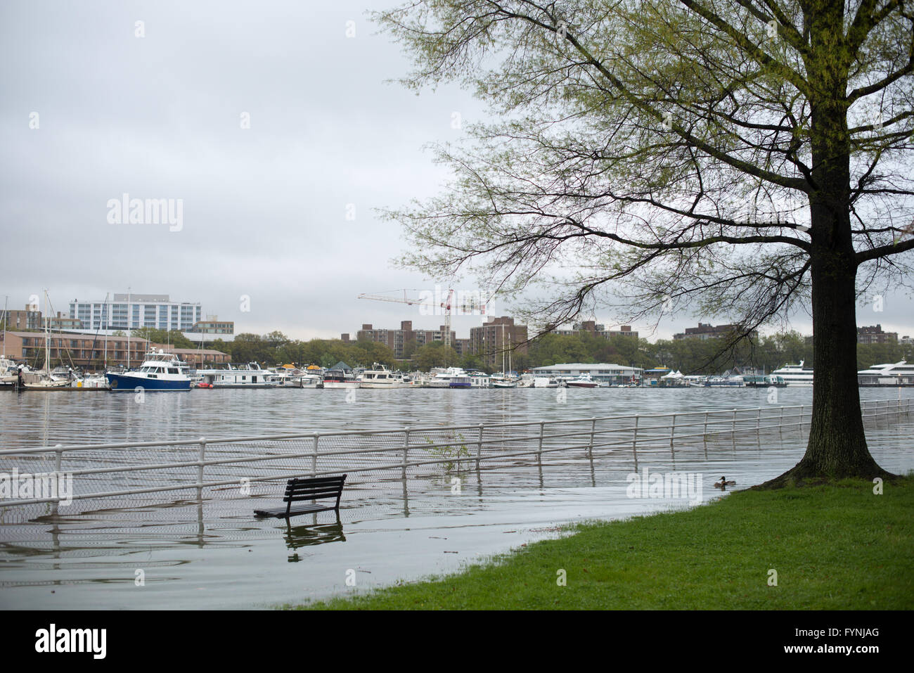 WASHINGTON, DC - A flooded waterfront along Hains Point and the ...