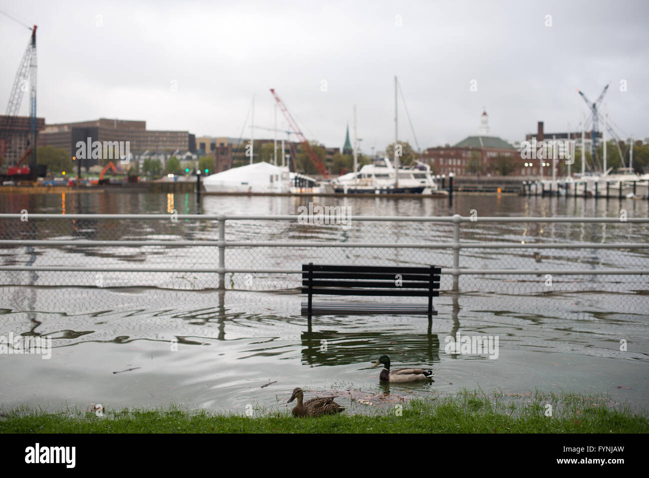 Flooded Waterfront Hains Point Washington DC // WASHINGTON DC — A ...