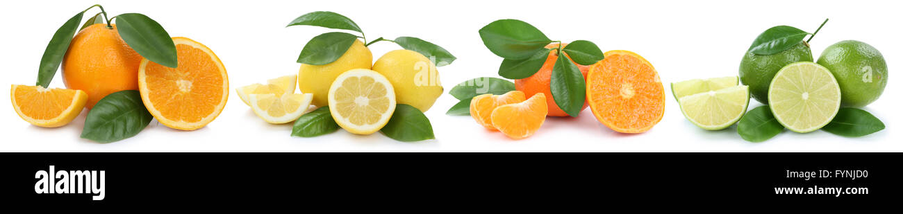 Collection of oranges lemons fruits in a row isolated on a white ...