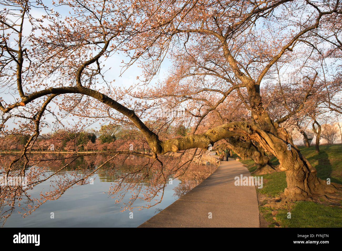 Washington dc tourism spots hi-res stock photography and images - Alamy