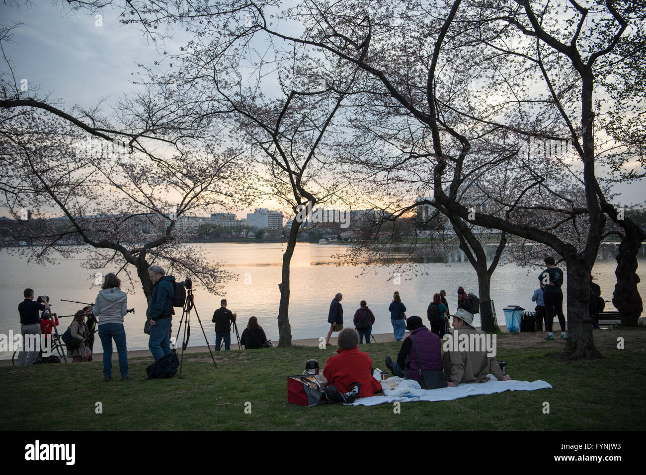 Best time to visit washington dc hi-res stock photography and images ...