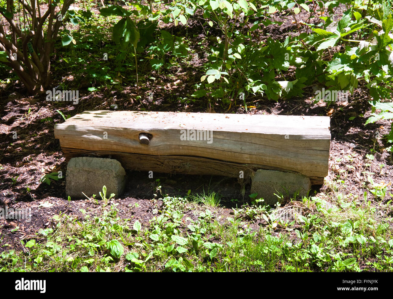 Wooden bench in Washington Park Arboretum Stock Photo - Alamy