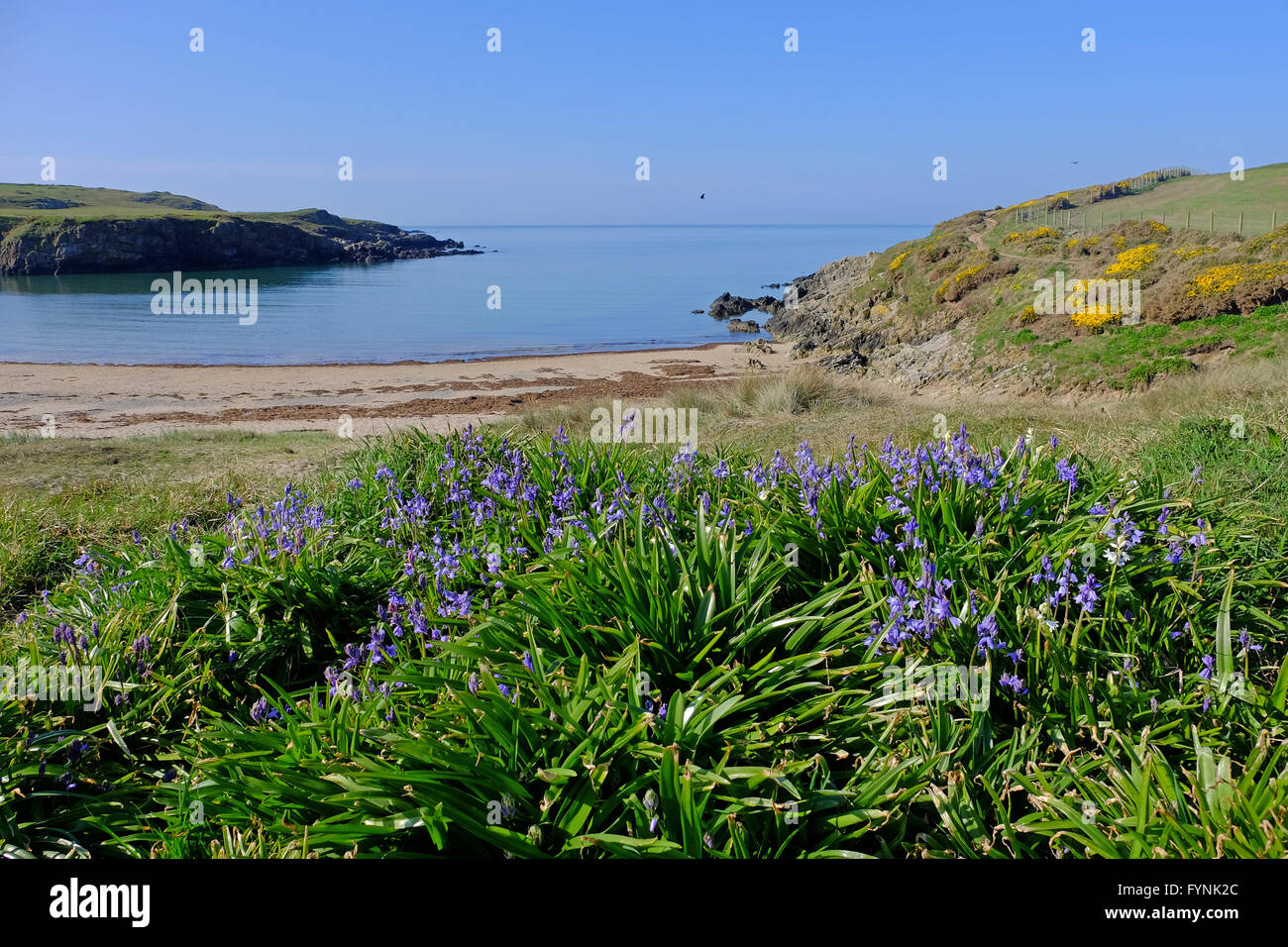 North cable hi-res stock photography and images - Alamy