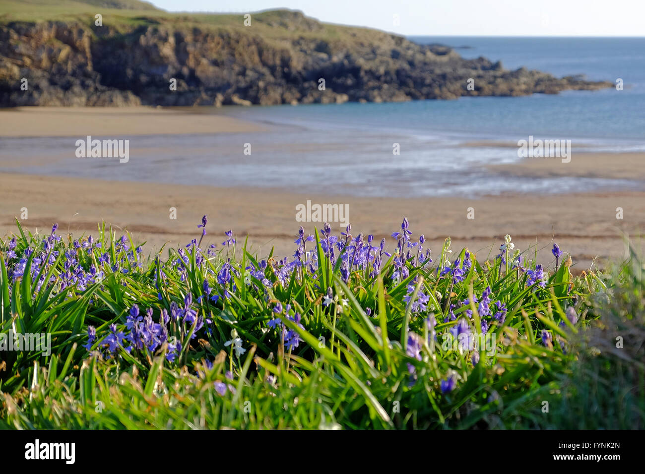 Cable bay anglesey hi-res stock photography and images - Alamy