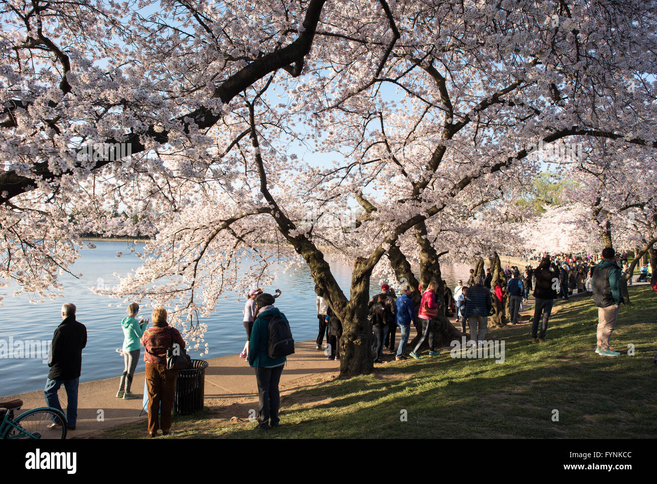 Washington dc spring celebrations hi-res stock photography and images ...