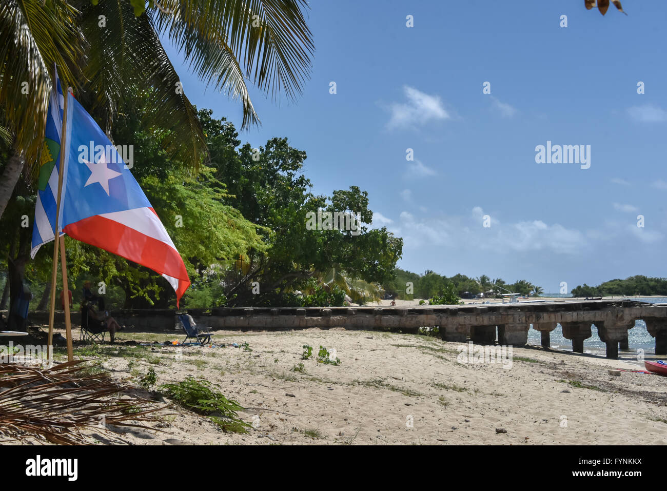 The flag of Puerto Rico on a tropical beach with palm trees in ...