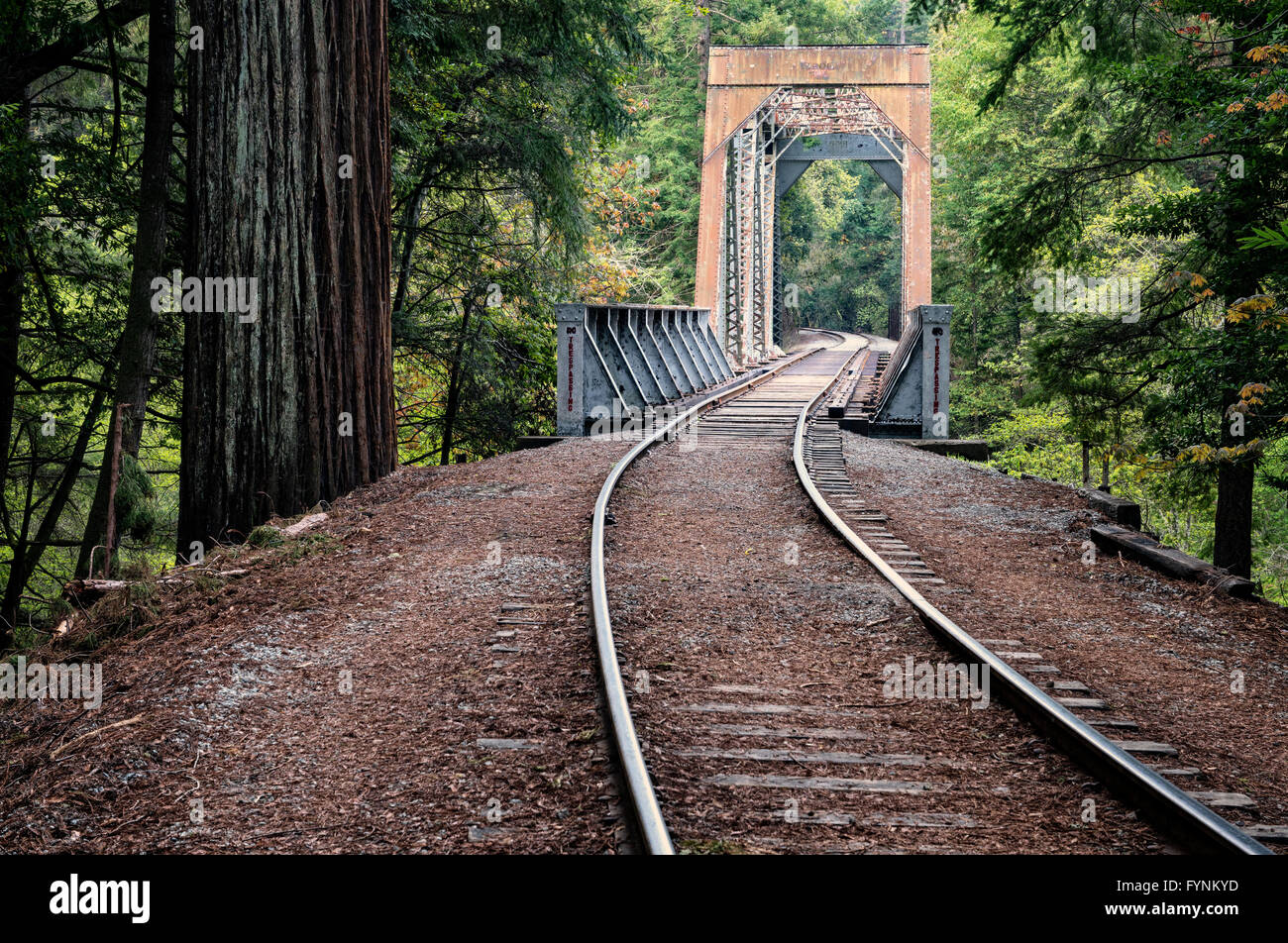 Roaring Camp Railroad High Resolution Stock Photography and Images - Alamy