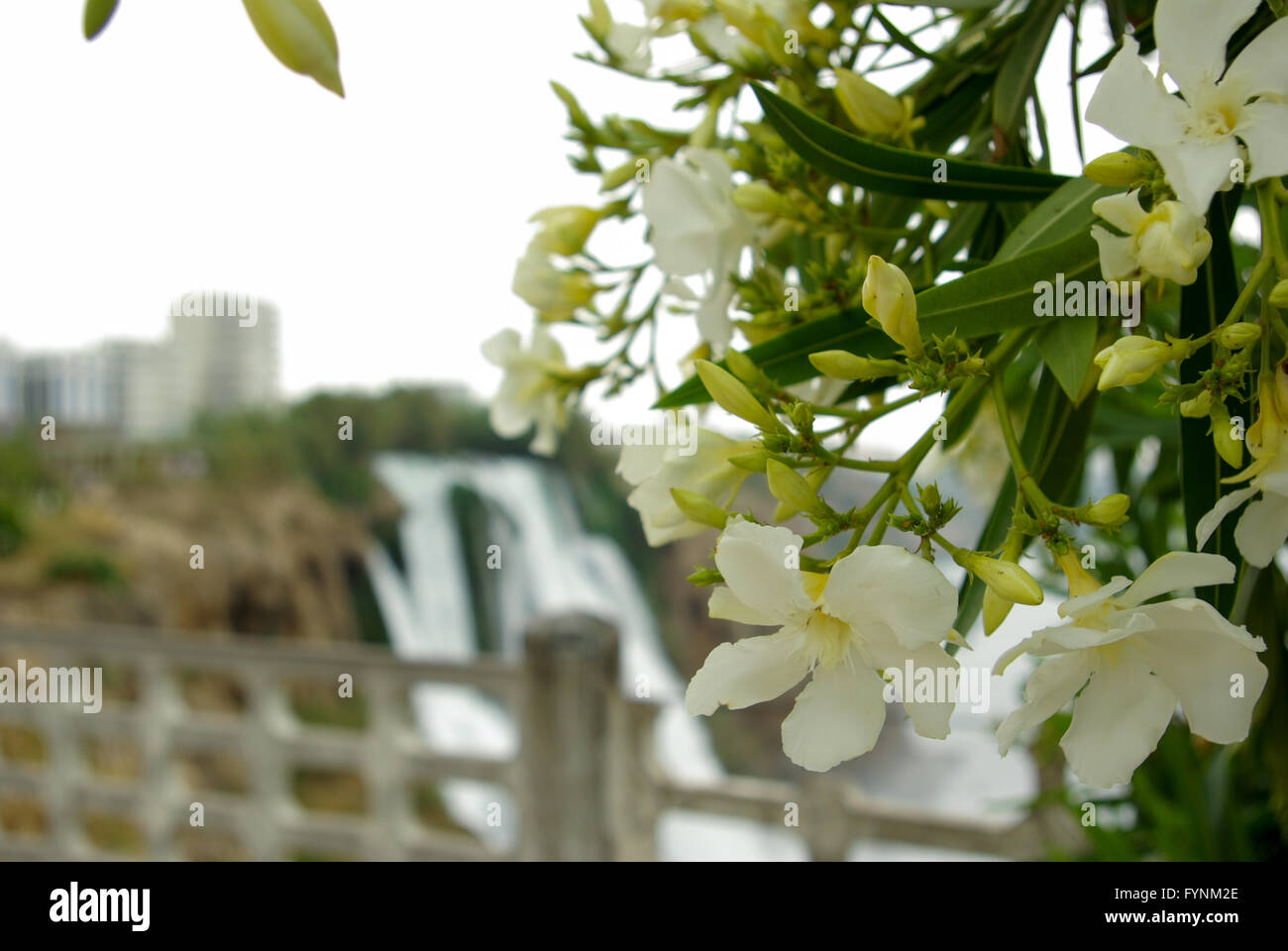 Waterfall cascades from ravine in Turkey Stock Photo - Alamy