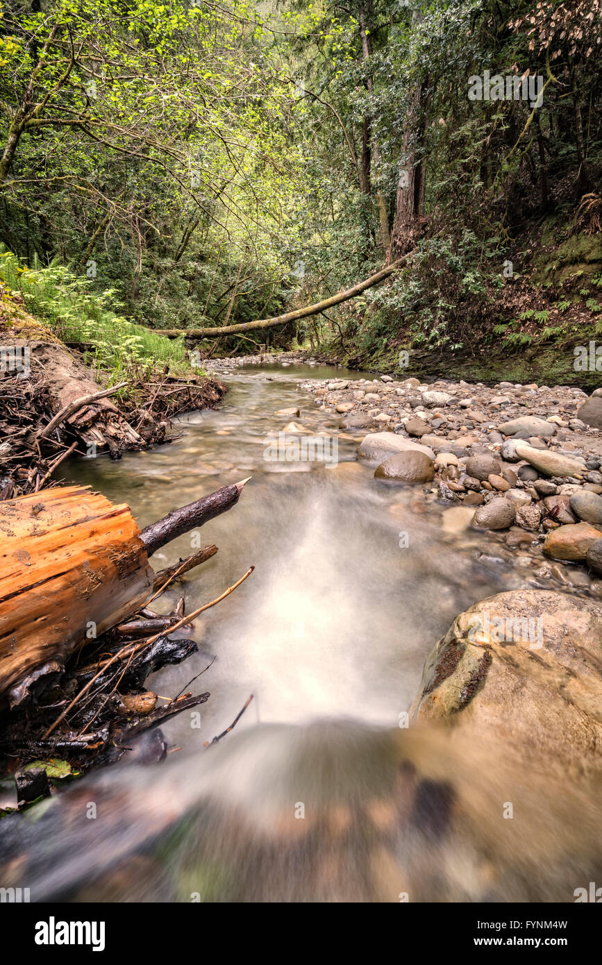 Green trees and river hi-res stock photography and images - Alamy