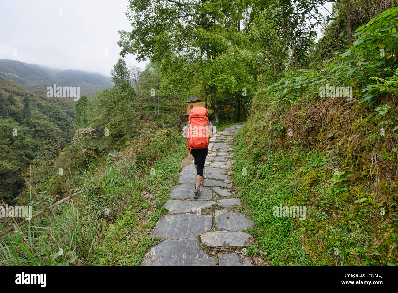 Trekking around the rice terraces of Jinkeng, Guangxi Autonomous Region ...