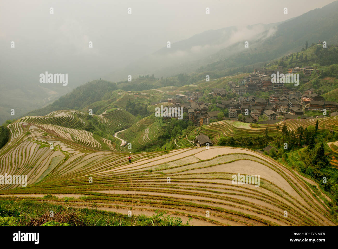 The stunning rice terraces of Ping'an in Longji, Guangxi Autonomous ...
