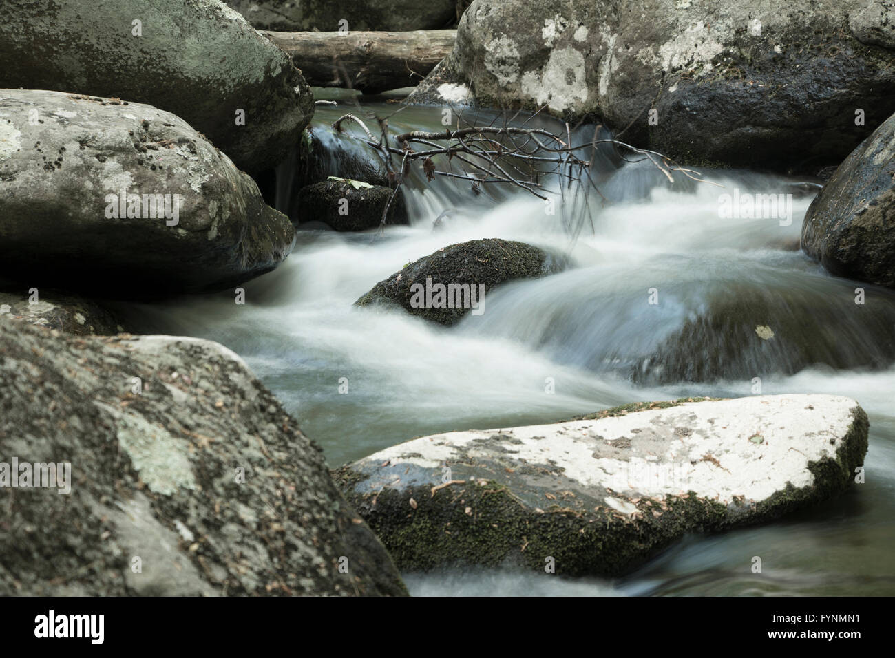 Tranquil River Closeup - Long Exposure Stock Photo - Alamy