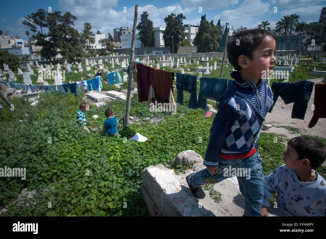 Living cemetery hi-res stock photography and images - Alamy