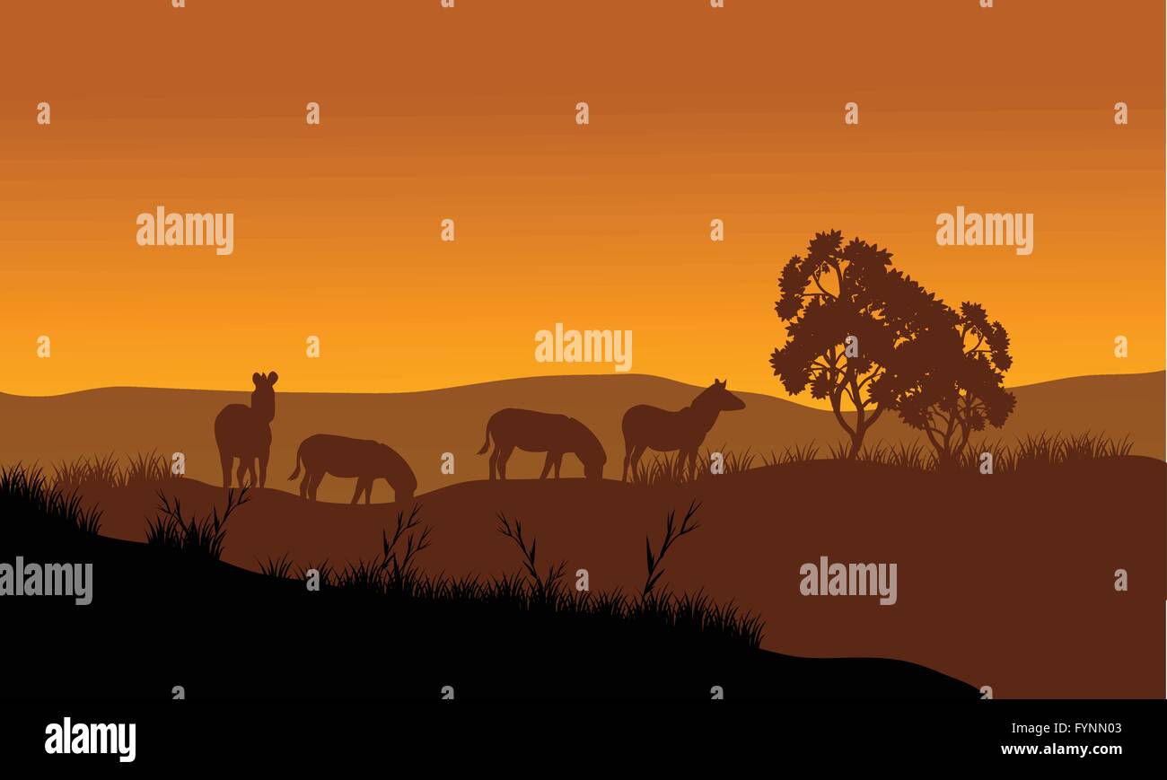 Wild zebra in beautiful Stock Vector Images - Alamy