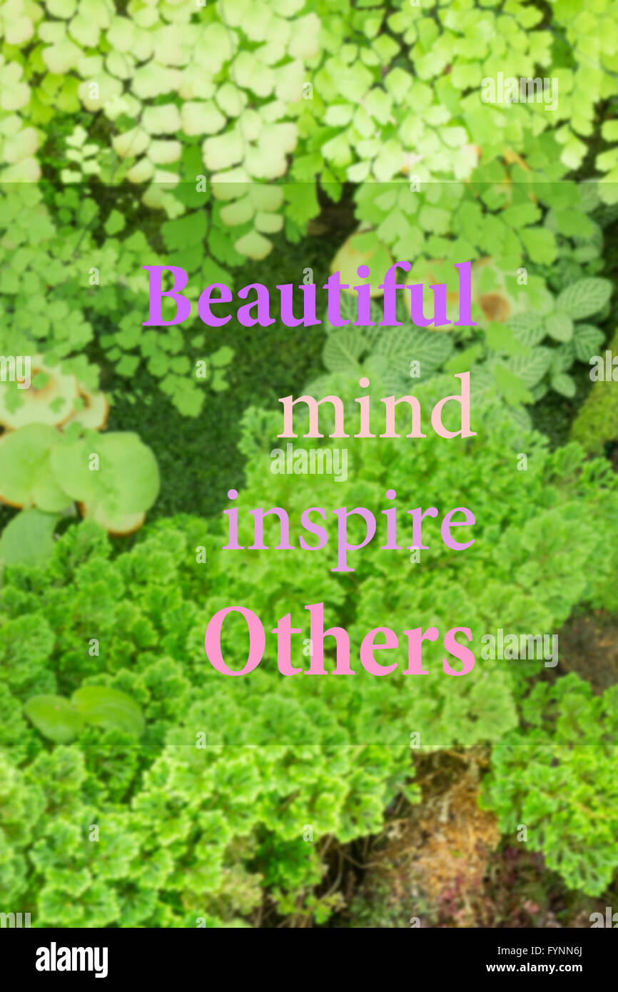 Beautiful mind inspire others. Inspirational quote, stock photo Stock ...