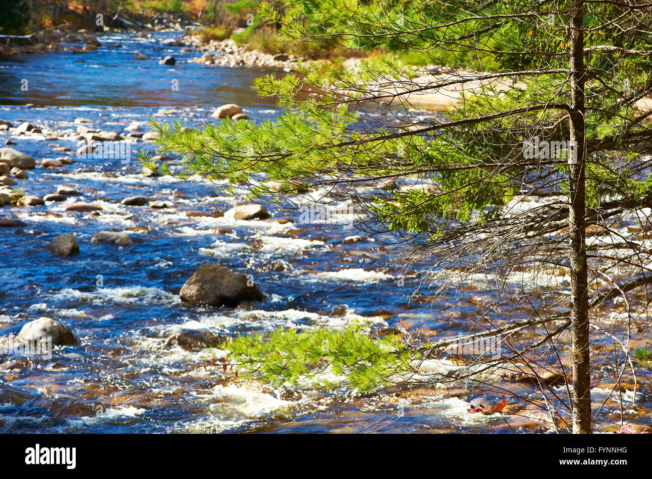 Swift River in White Mountain National Forest Stock Photo - Alamy