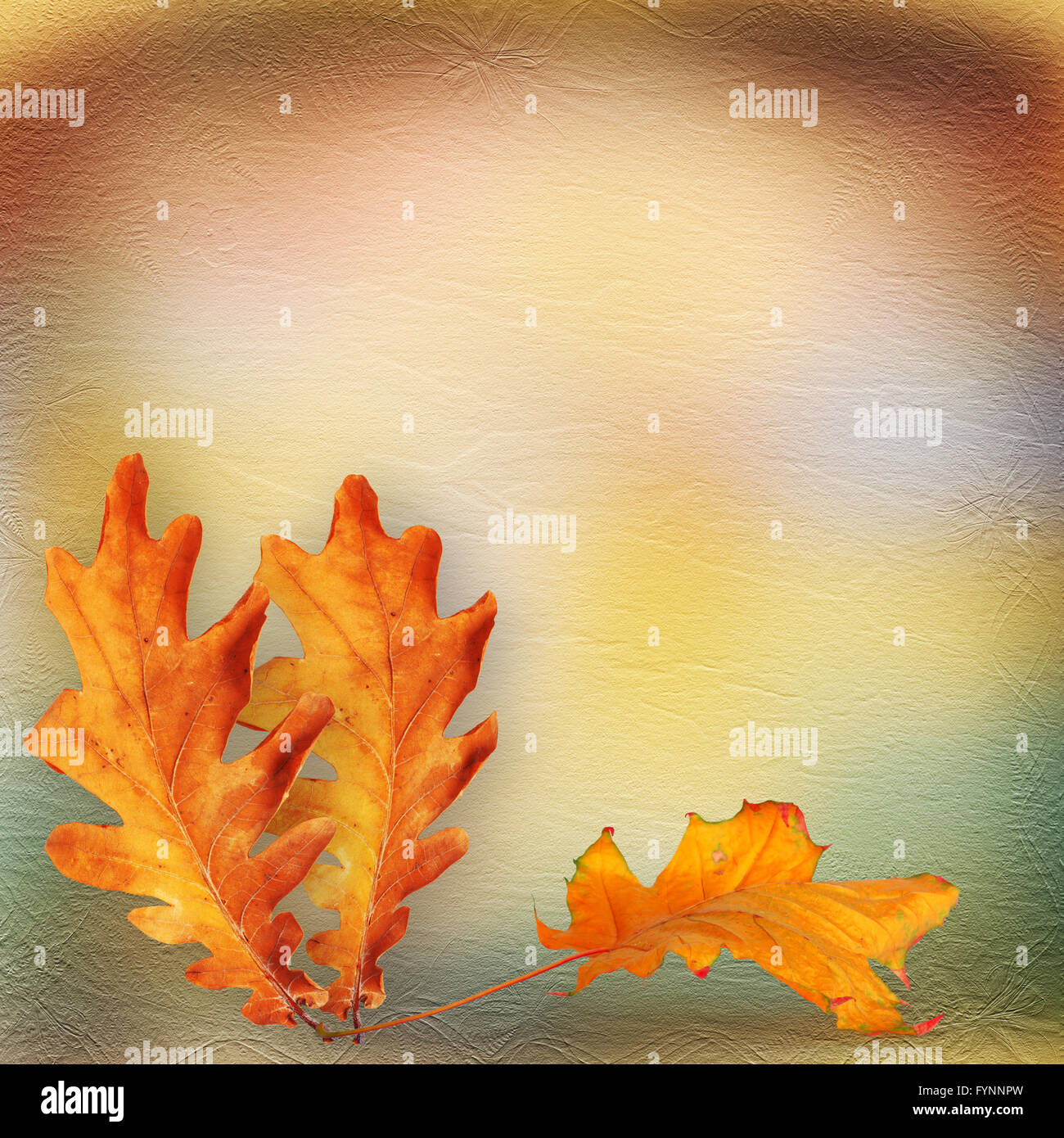 Grunge paper design in scrapbooking style with photoframe and autumn ...