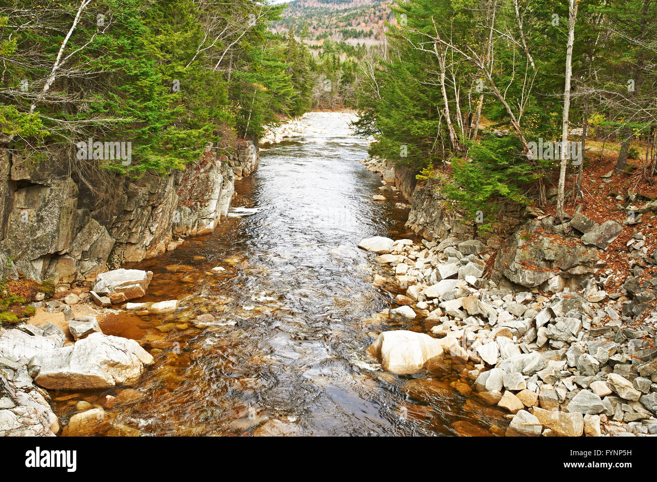 Swift River in White Mountain National Forest Stock Photo - Alamy