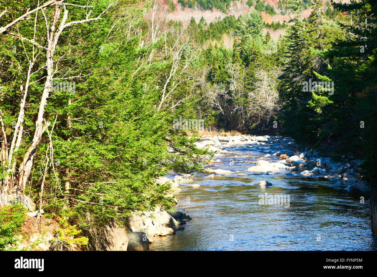 Swift River in White Mountain National Forest Stock Photo - Alamy