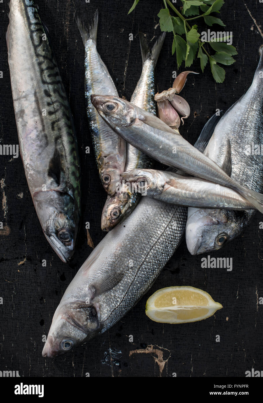 Raw fish. Sea bream, sea bass, mackerel and sardines Stock Photo - Alamy