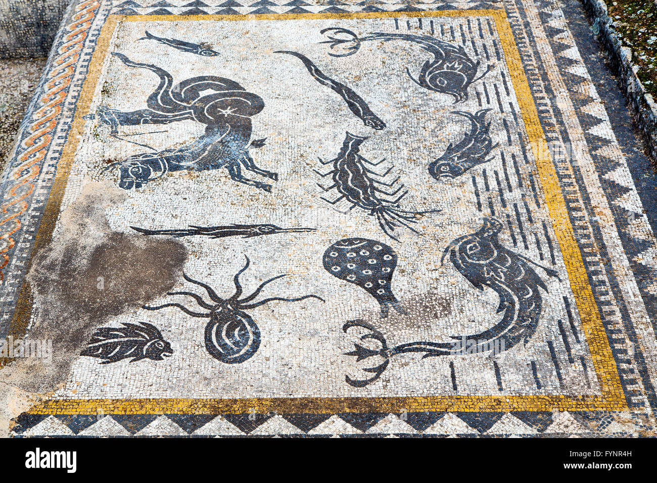 Fish roof tile texture hi-res stock photography and images - Alamy