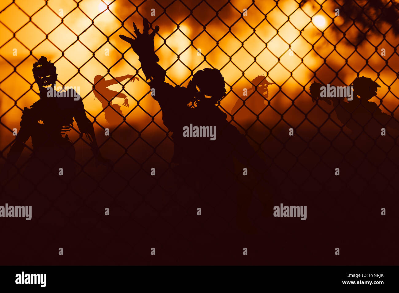Zombie apocalypse street hi-res stock photography and images - Alamy