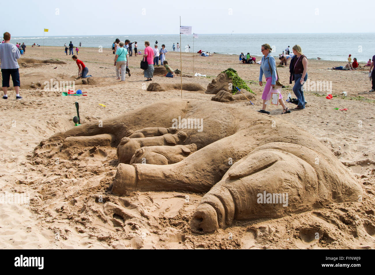 Sand sculpture of a sow feeding piglets on the beach at Exmouth, Devon ...